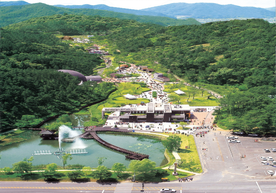 [Goryeong] Daegaya Camping experience - Seoul PASS